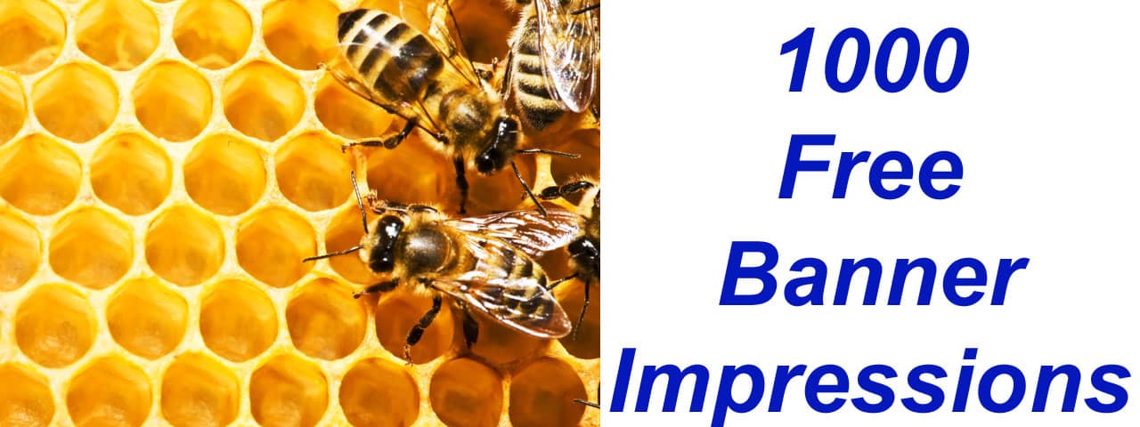 Get 1000 free banner impressions | SEO - Optiweb Canada